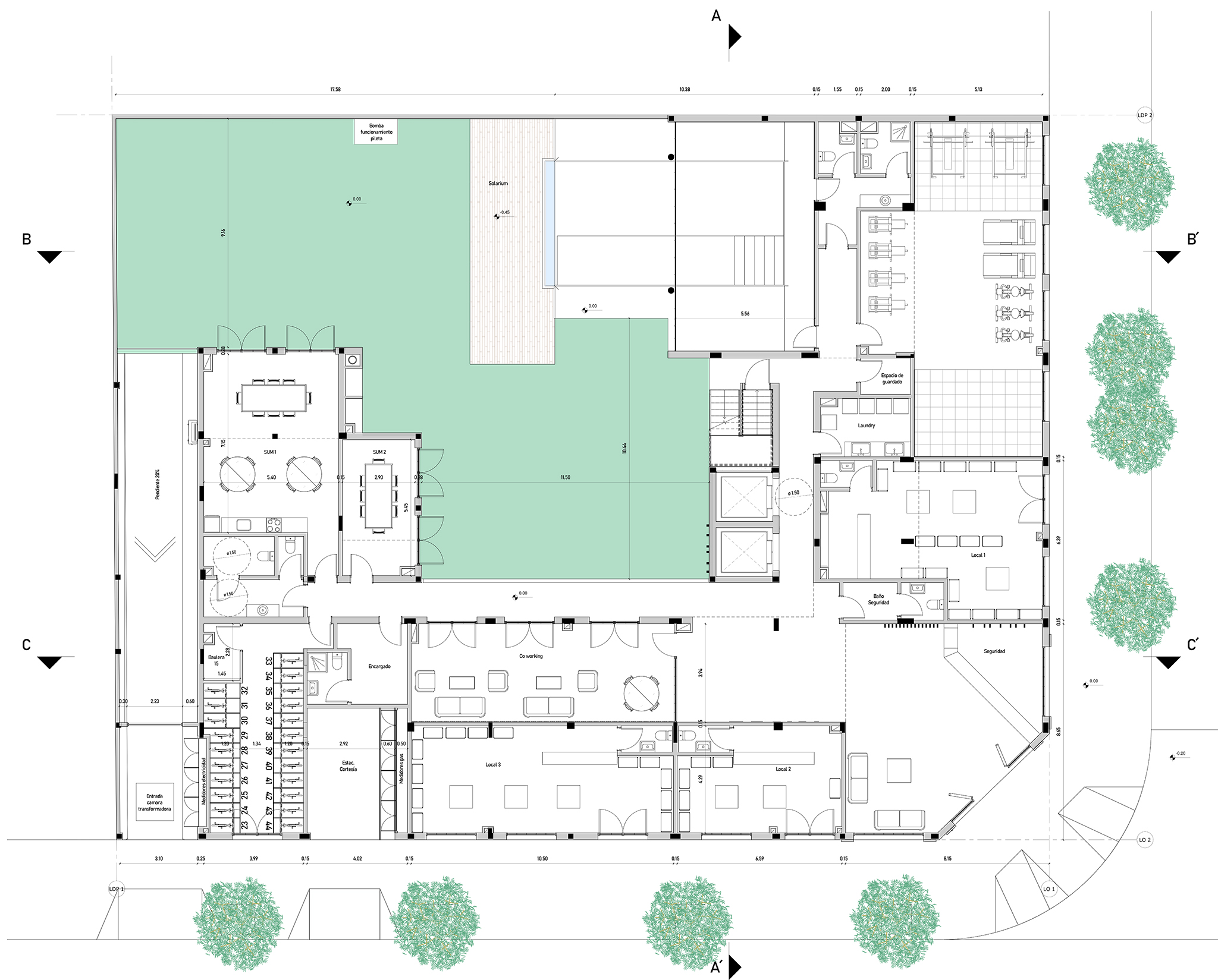 Plantas – Correa 1907